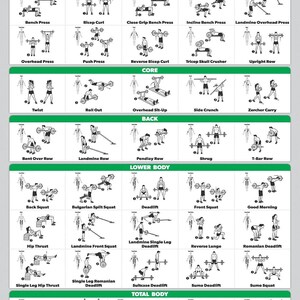 Palace Learning 4-pack Workout Charts - Dumbbell, Barbell, Bodyweight ...