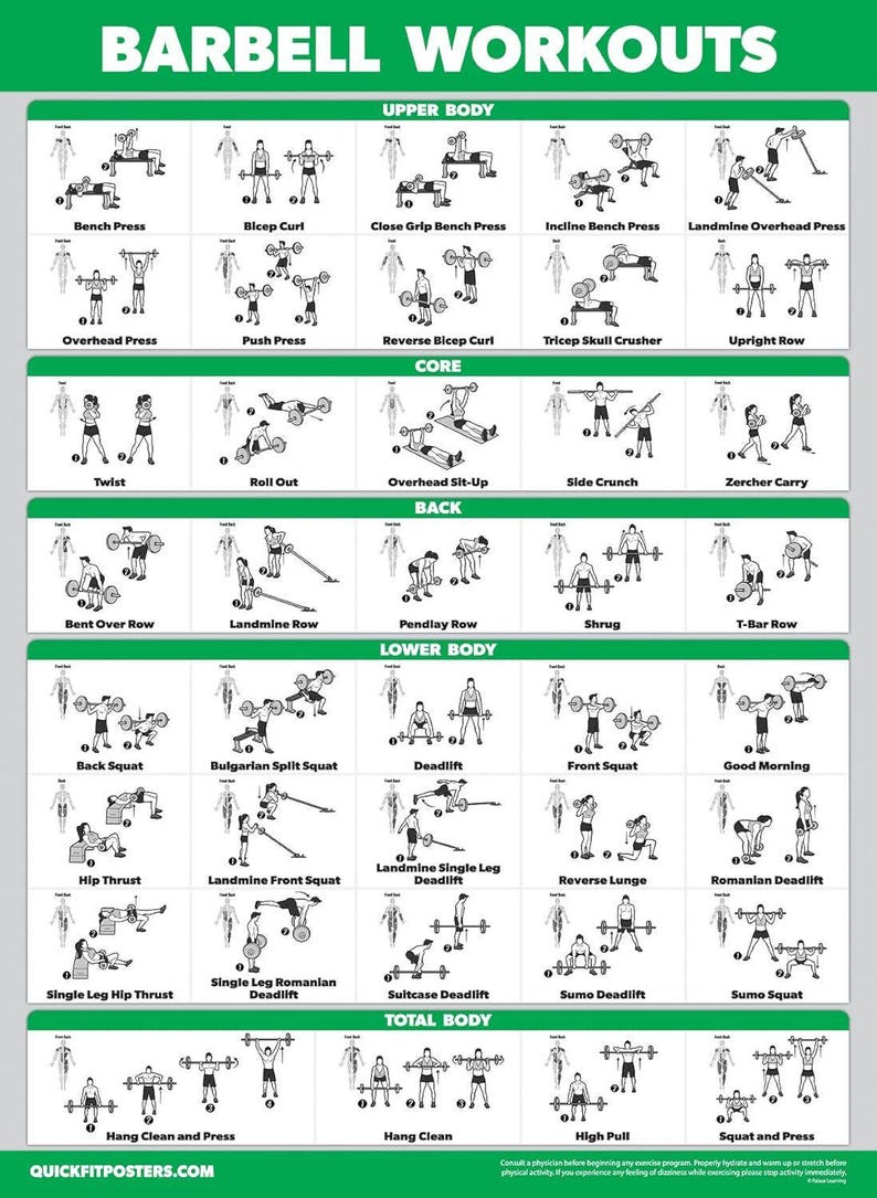 Palace Learning 4-pack Workout Charts - Dumbbell, Barbell, Bodyweight ...