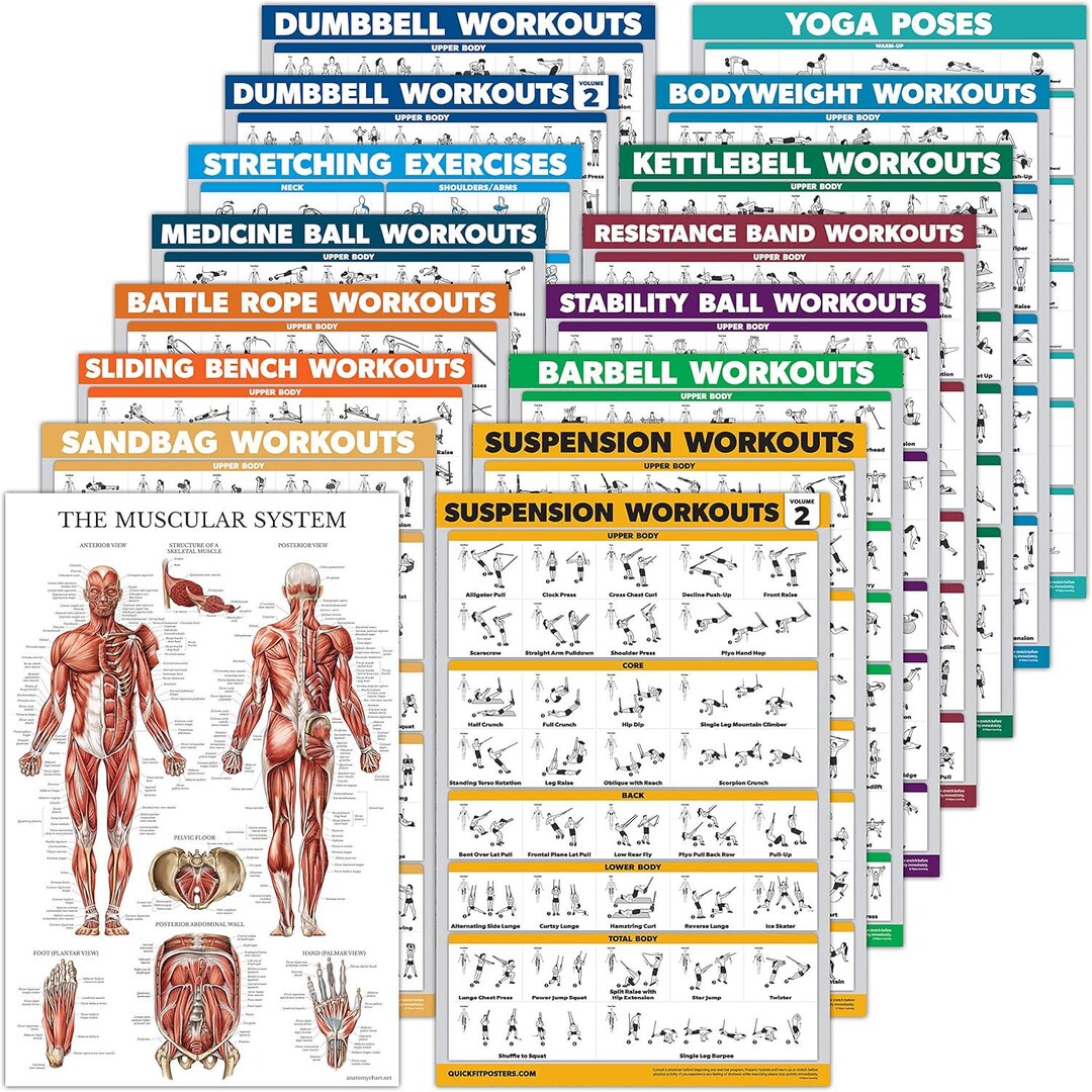 16 Pack - Exercise Posters: Dumbbell, Suspension, Kettlebell, Bands ...