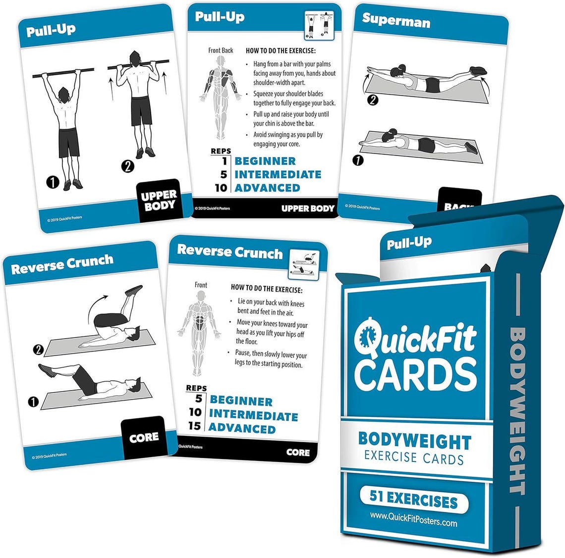 2 Pack - Dumbbell Workout Poster - Laminated 18" X 24" & Bodyweight ...