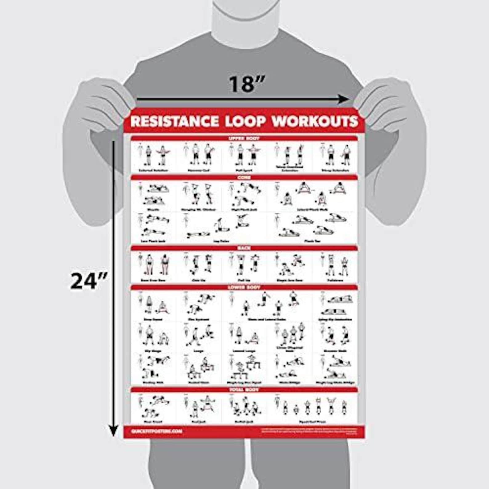 QUICKFIT Resistance Loop Bands Workout Poster - LAMINATED - Exercise ...