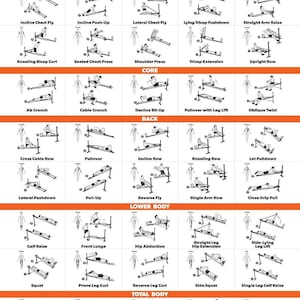 Sliding Bench Workout Poster - Incline Bench Exercise Chart for Total ...