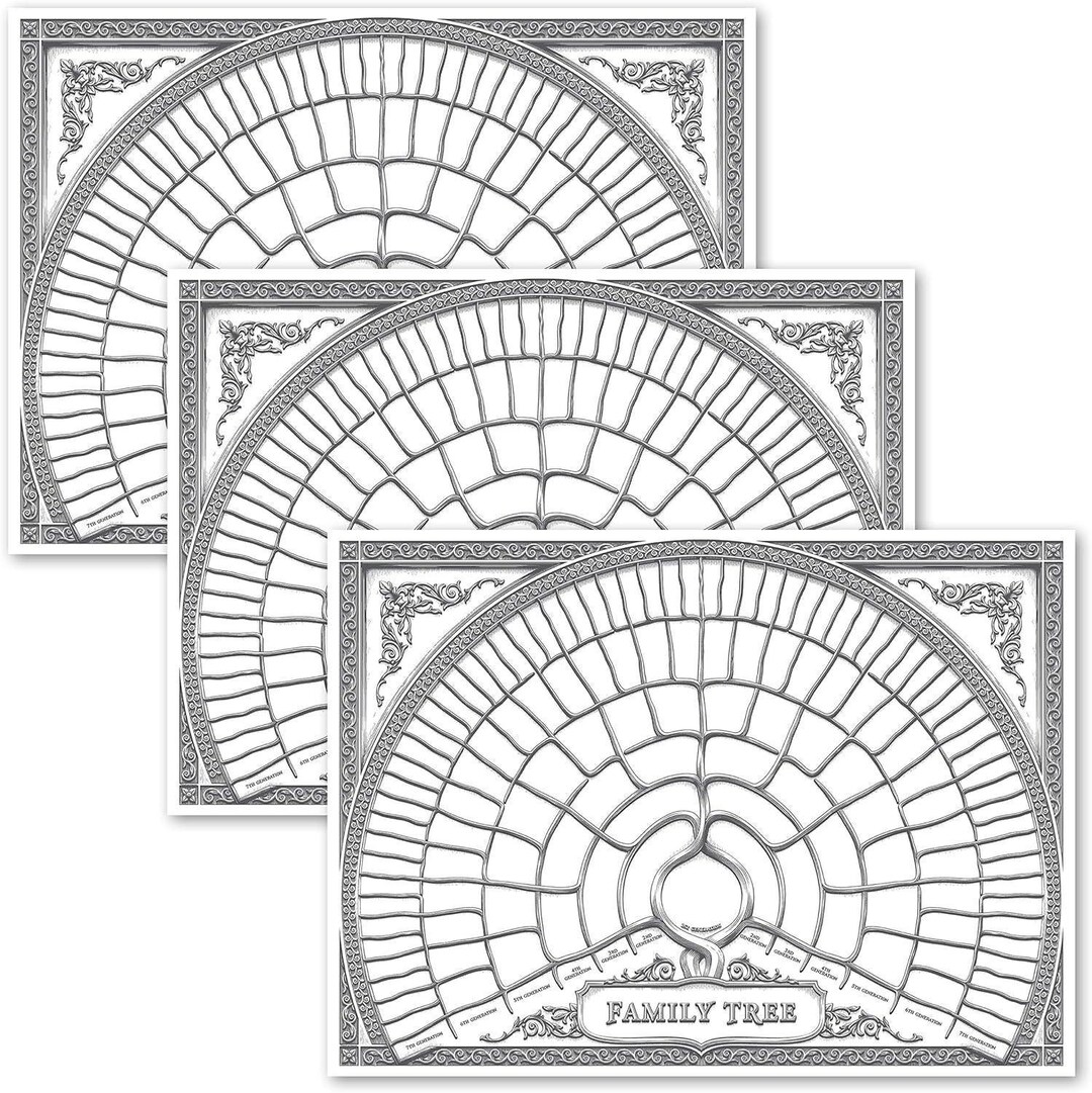 3 Pack - Family Tree Chart to Fill In- 6 Generation Genealogy Poster ...