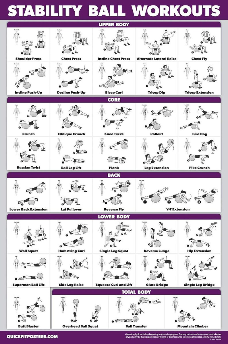 2 Pack: Half Balance Ball Workout Poster Yoga Ball Exercise Chart Set ...