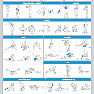 QUICKFIT Stretching Workout Exercise Poster - Stretch Routine ...