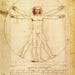 Vitruvian Man by Leonardo Da Vinci Poster Proportions of the Human ...