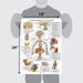 Laminated Endocrine System Anatomical Chart - Endocrine Anatomy Poster ...