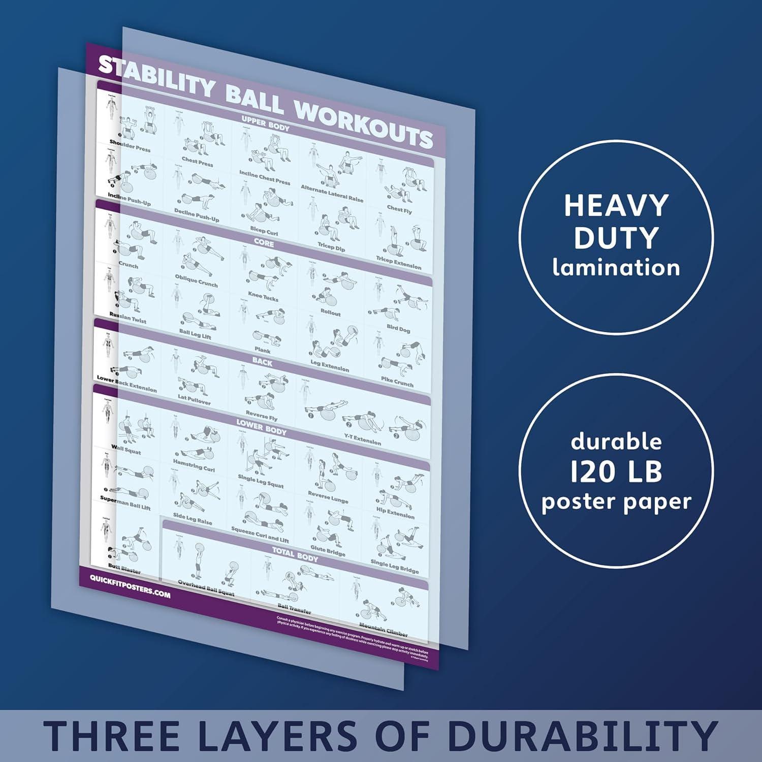 2 Pack: Half Balance Ball Workout Poster + Yoga Ball Exercise Chart ...