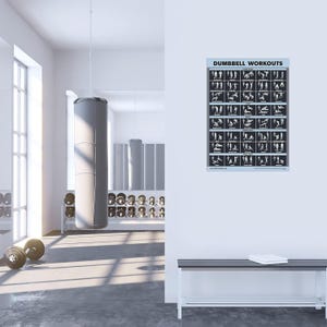 Palace Learning Dumbbell Workout Exercise Poster [dark] (LAMINATED, 18 ...