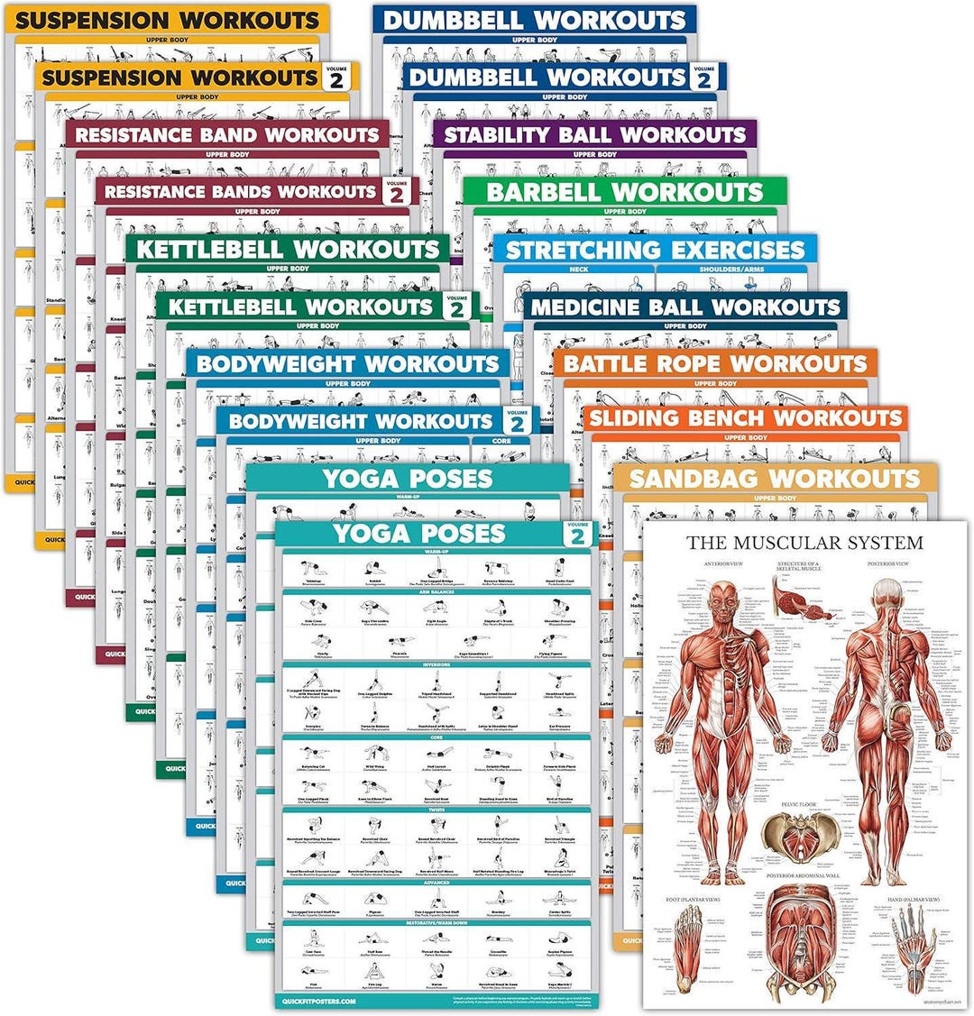 20 Pack Exercise Posters: Dumbbell, Suspension, Battle Rope, Bodyweight ...