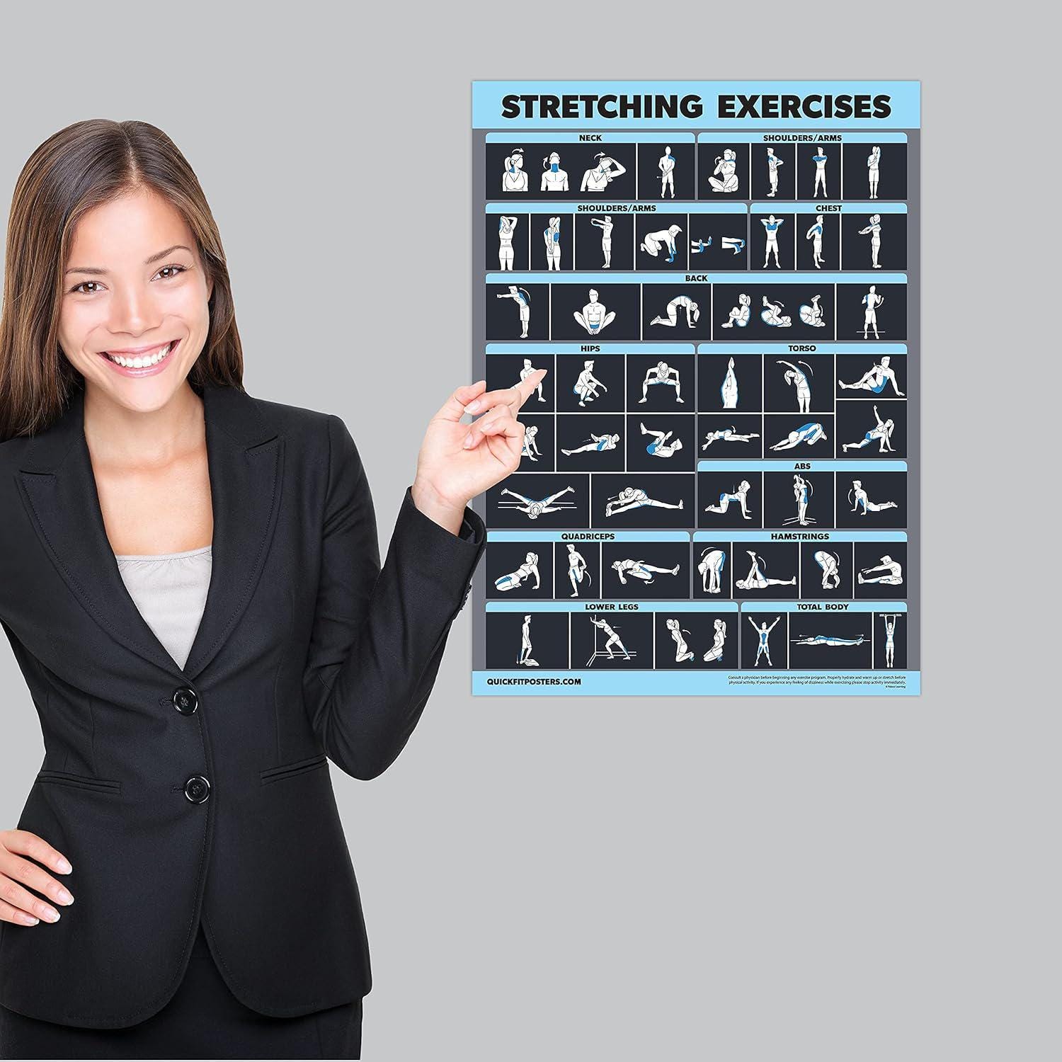 2-pack Stretching Exercises & Muscular System Posters - Laminated ...
