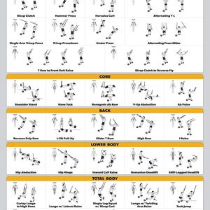 3 Pack Suspension Workout Posters - Volume 1, 2 & 3 - Exercise Charts ...