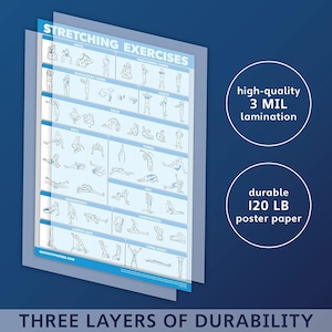 QUICKFIT Stretching Workout Exercise Poster - Stretch Routine ...