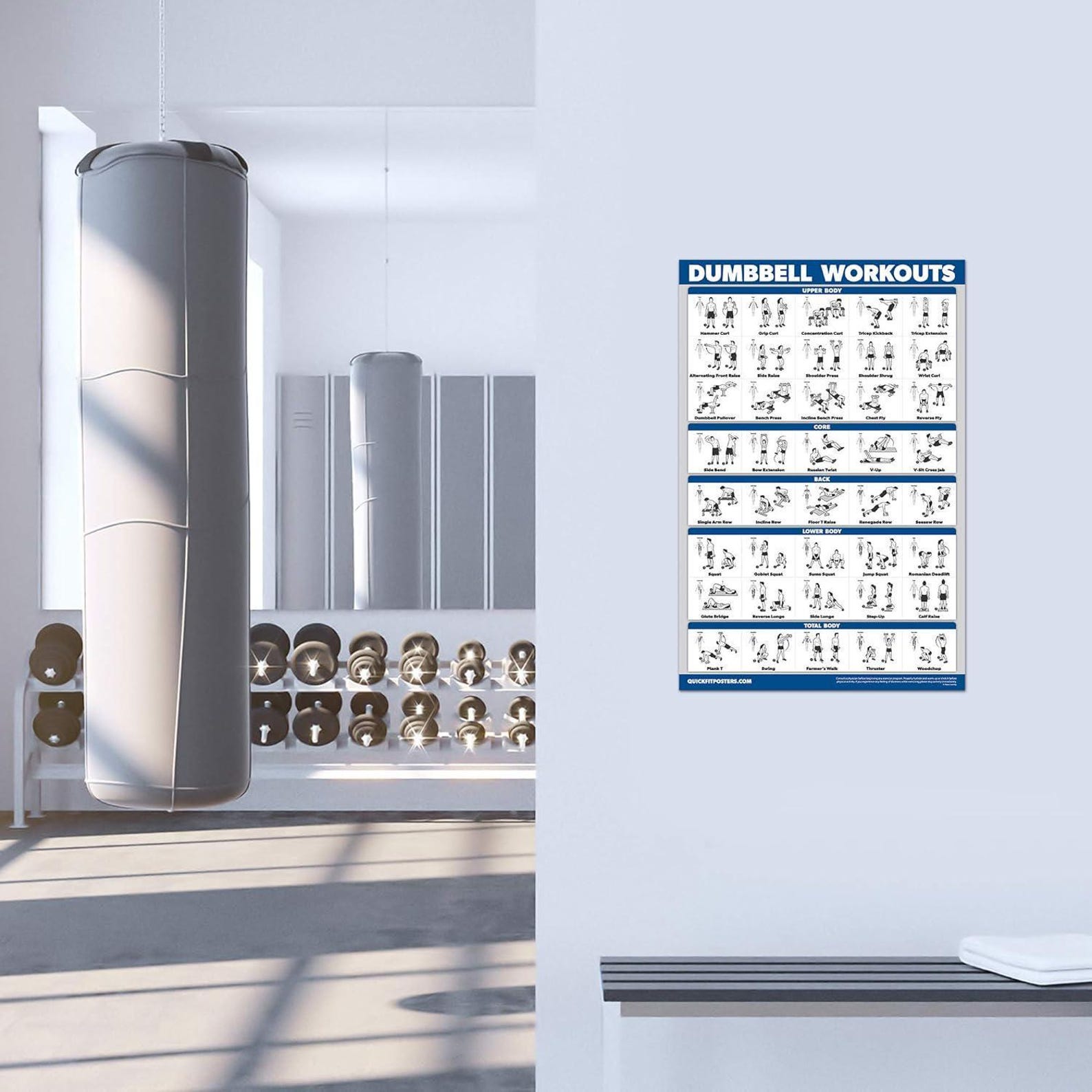 Palace Learning 4-pack Workout Charts - Dumbbell, Barbell, Bodyweight ...