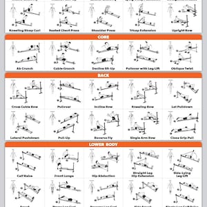 Quickfit 2-pack Stretching & Sliding Bench Workout Posters - Compatible ...