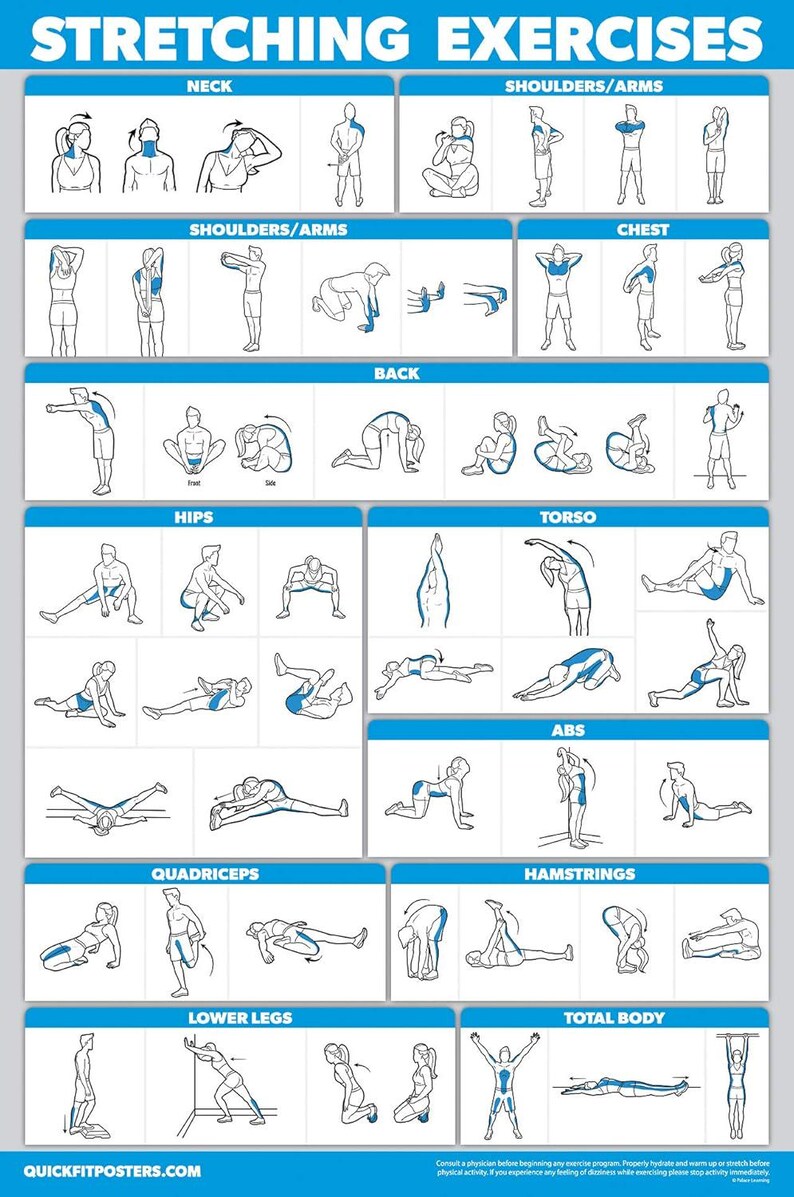 3 Pack: Bodyweight Workout Posters Volume 1 & 2 + Stretching Exercises ...