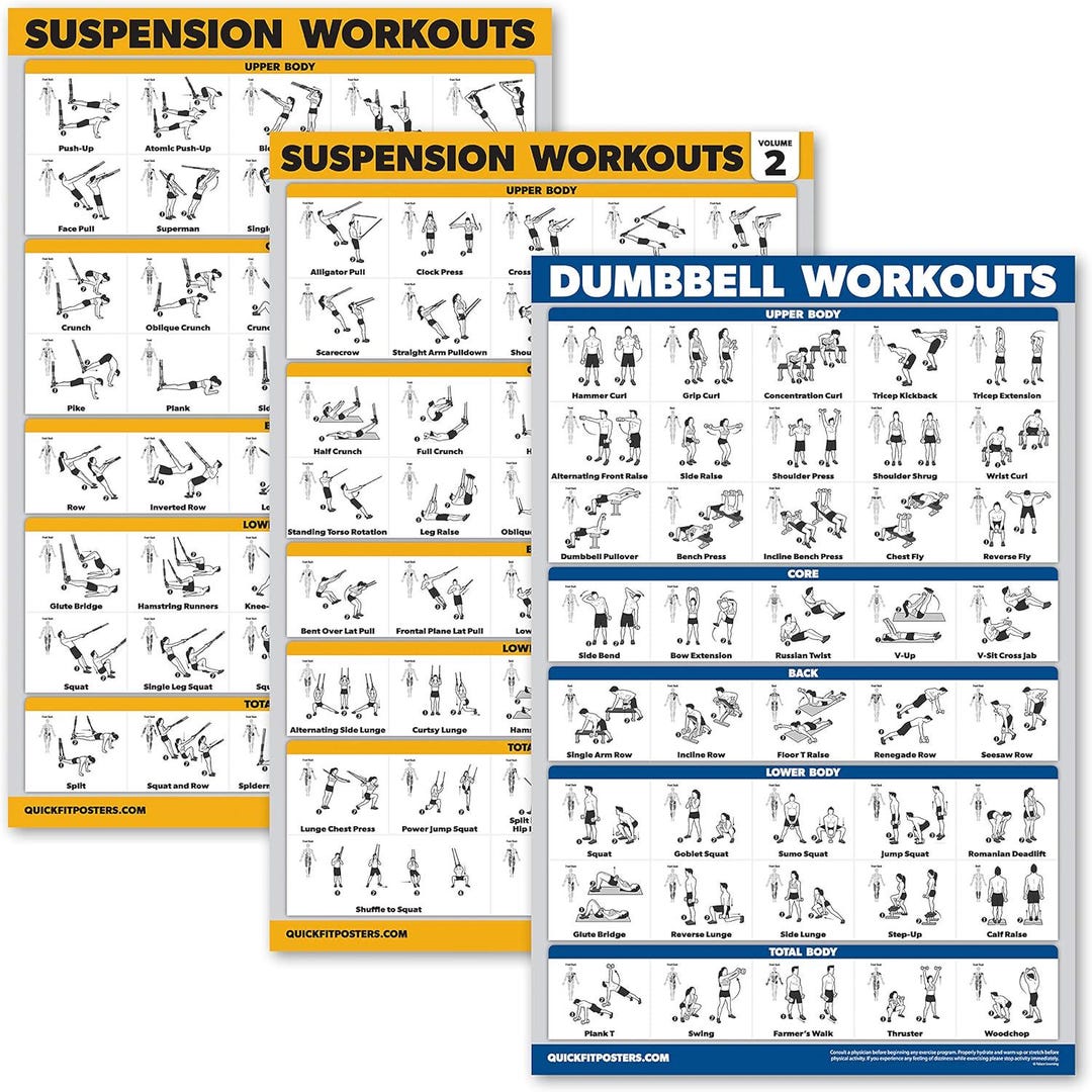 Palace Learning 3-pack Suspension Workout Posters - Vol. 1 & 2 ...