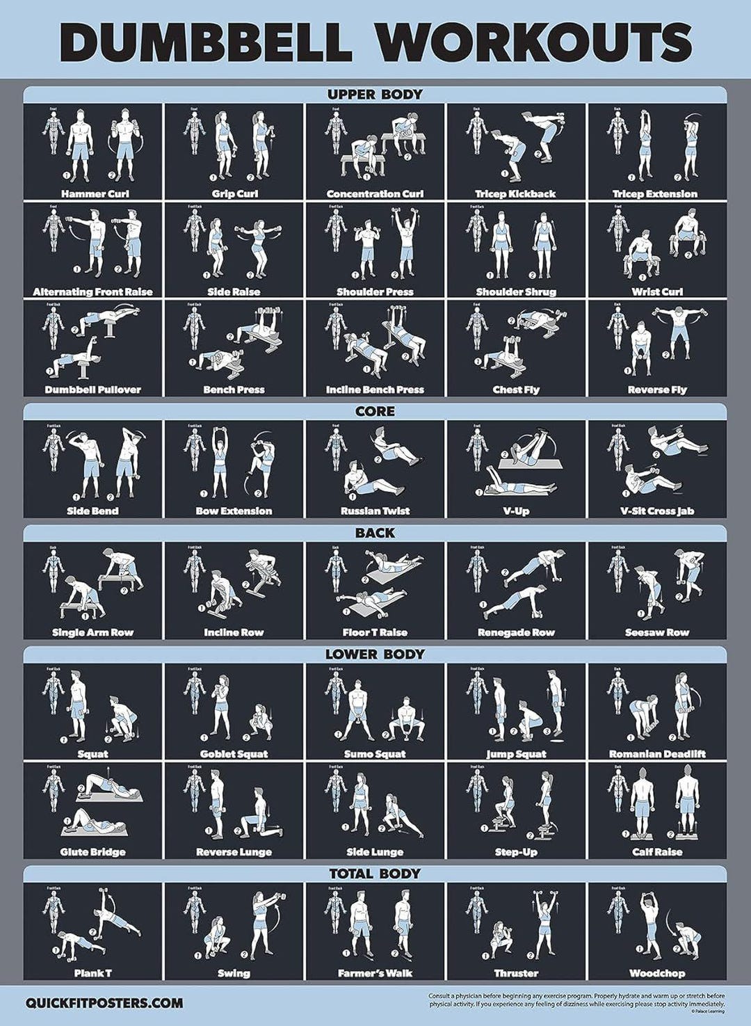 Palace Learning Dumbbell Workout Exercise Poster [dark] (LAMINATED, 18 ...