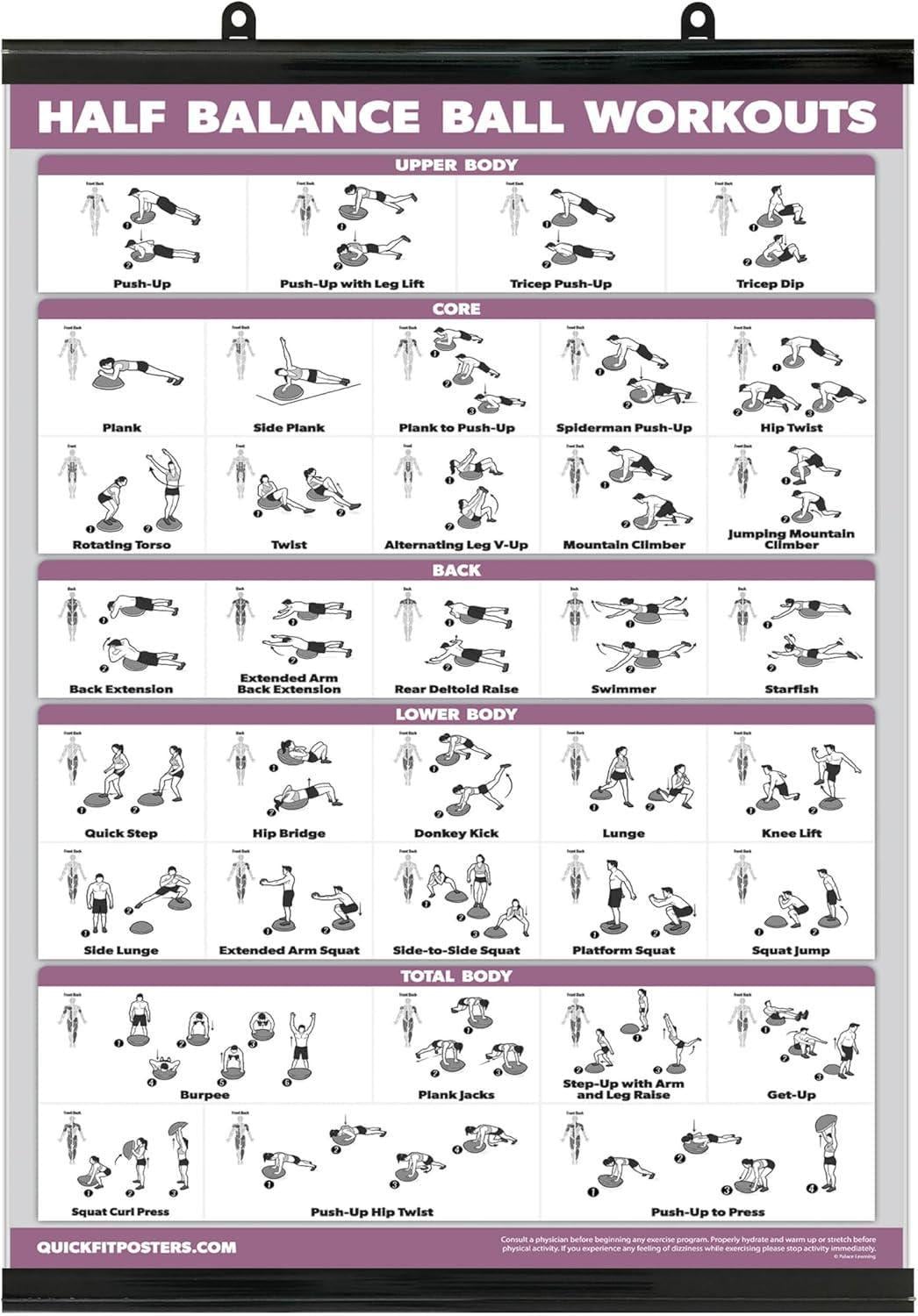Half Balance Ball Workout Poster - Exercise Chart (LAMINATED With ...