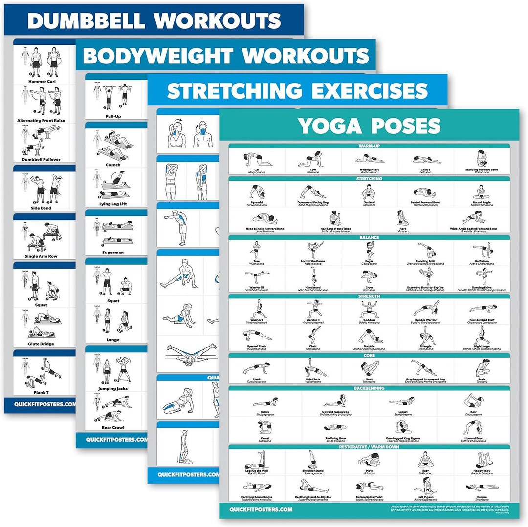 Palace Learning 4-pack Workout Charts - Dumbbell Workouts, Bodyweight ...