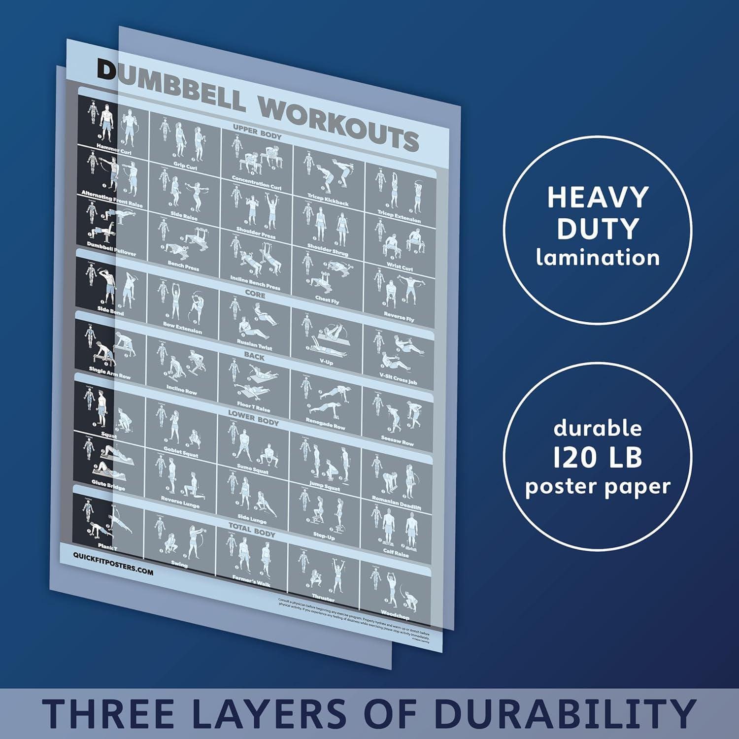 Palace Learning Dumbbell Workout Exercise Poster [dark] (LAMINATED, 18 ...