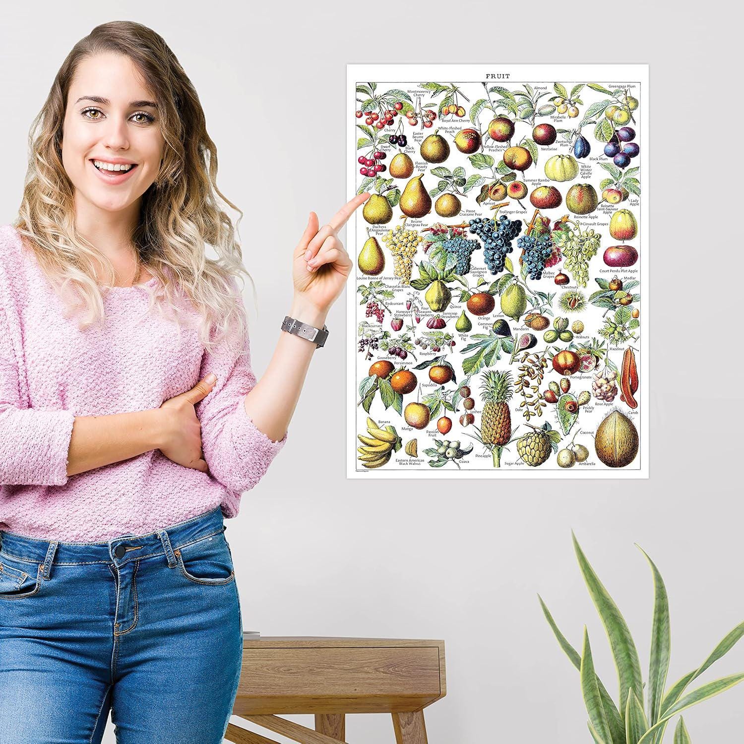 Vintage Fruits & Vegetables Poster Set - Botanical ID Chart for Kitchen ...
