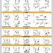 3 Pack Suspension Workout Posters - Volume 1, 2 & 3 - Exercise Charts ...