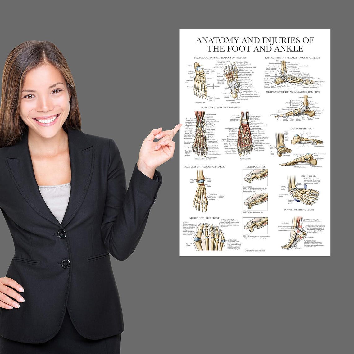 Laminated Anatomy and Injuries of the Foot and Ankle Poster ...