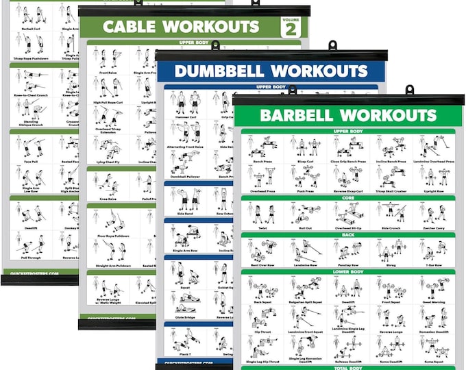 4-pack Laminated Workout Posters: Cable Machine Volumes 1 & 2, Dumbbell ...