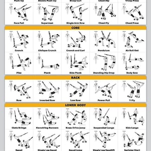 Quickfit Suspension Workout Exercise Poster - (laminated, 18in X 24in ...