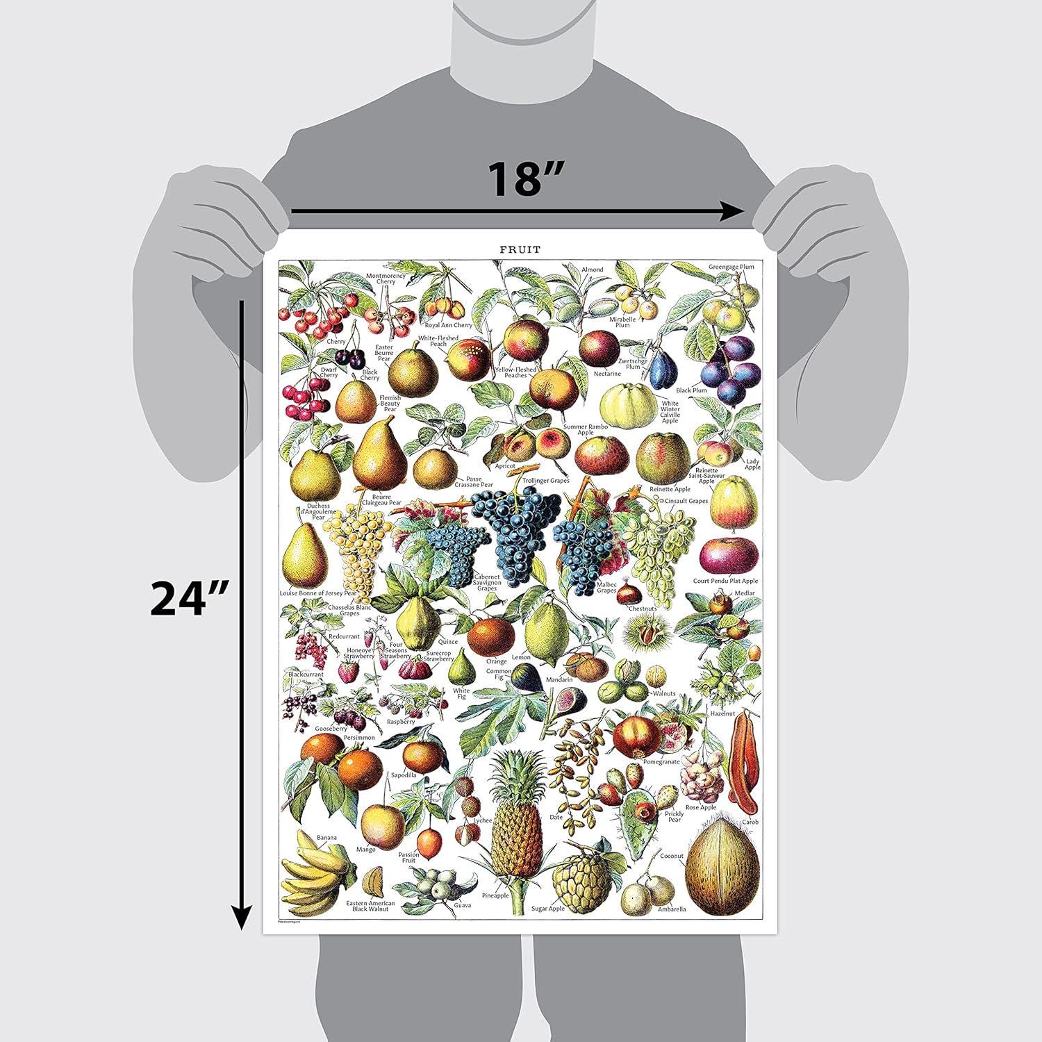 Vintage Fruits & Vegetables Poster Set - Botanical ID Chart for Kitchen ...