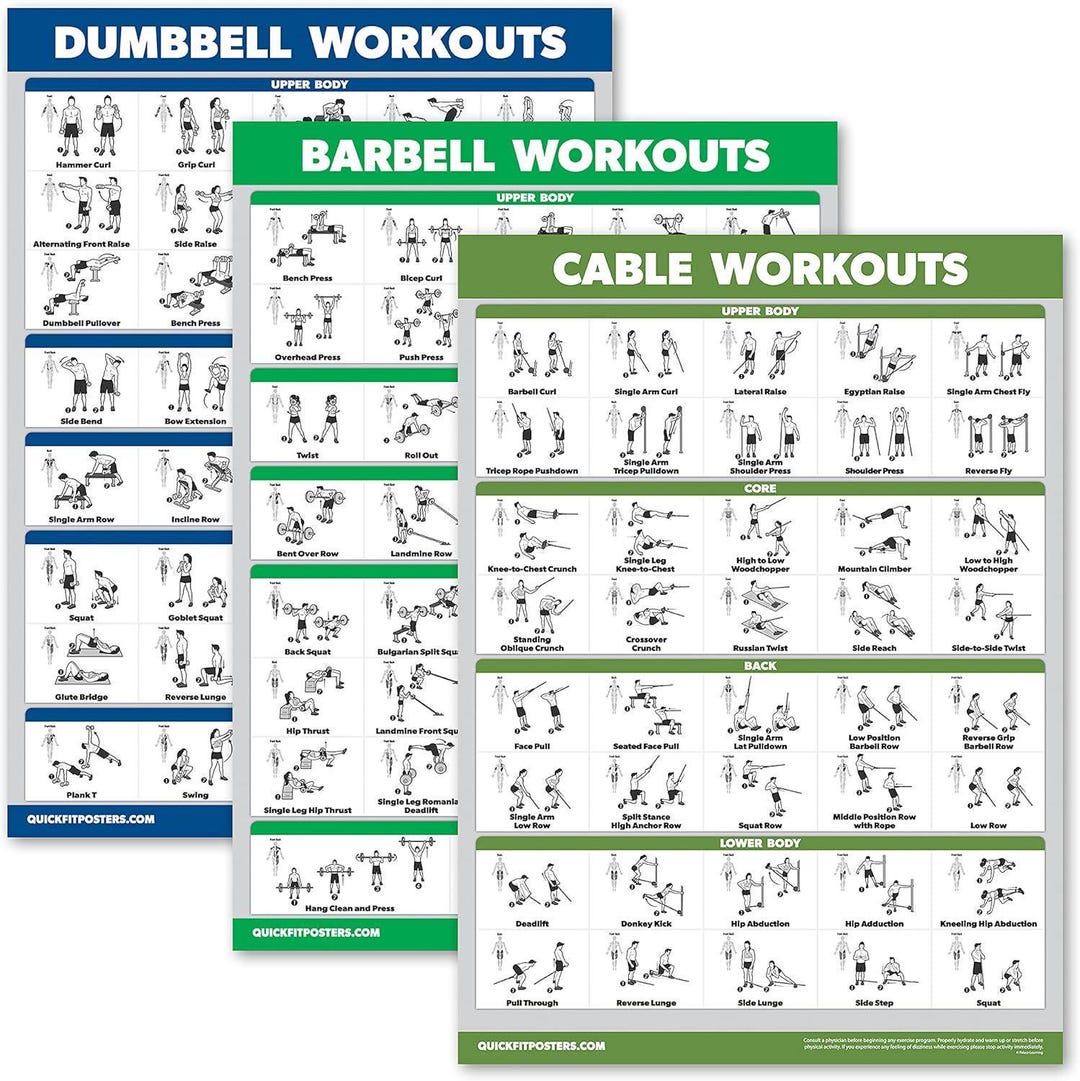 Palace Learning 3-pack Workout Charts - Dumbbell, Barbell & Cable Machine Exercises (laminated ...