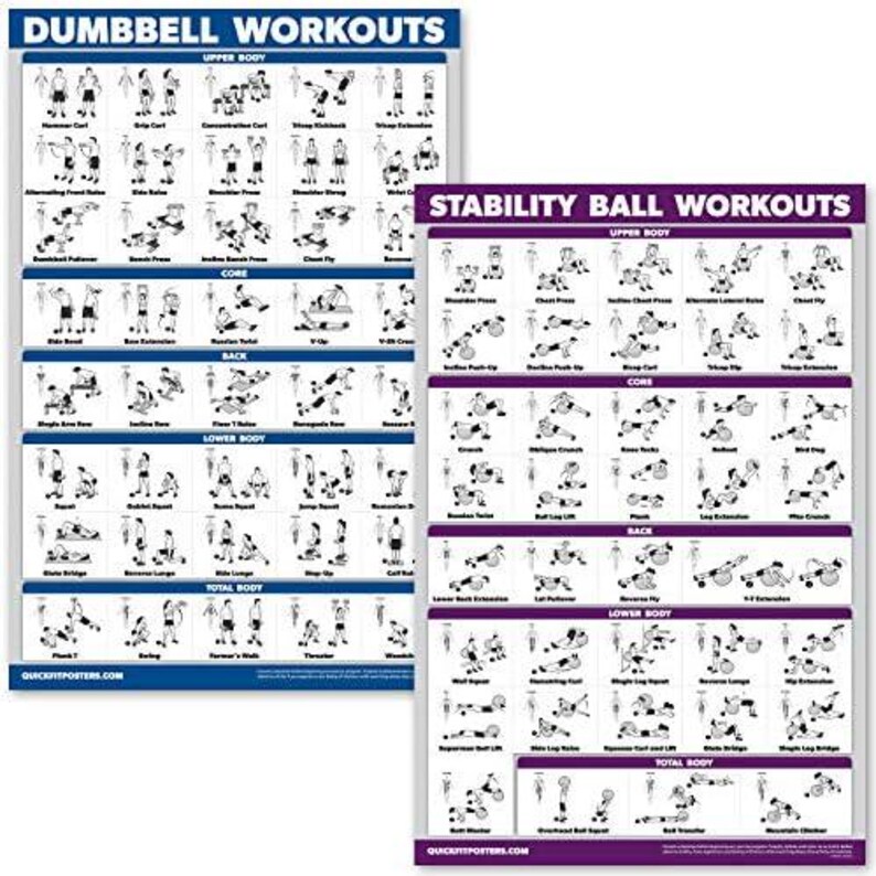 Laminated Dumbbell Workouts & Exercise Ball Poster Set—2 Charts (18" X ...