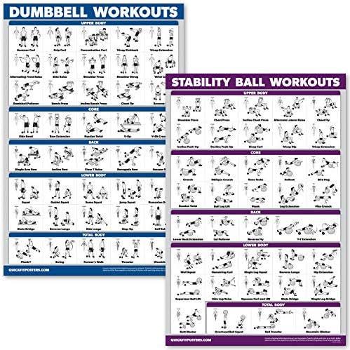 Laminated Dumbbell Workouts & Exercise Ball Poster Set—2 Charts (18" X ...