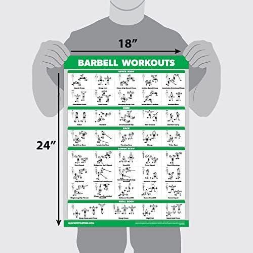 QUICKFIT Barbell Workout Exercise Poster - (laminated, 18in X 24in) for ...