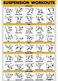 Quickfit Suspension Workout Exercise Poster - (laminated, 18in X 24in ...