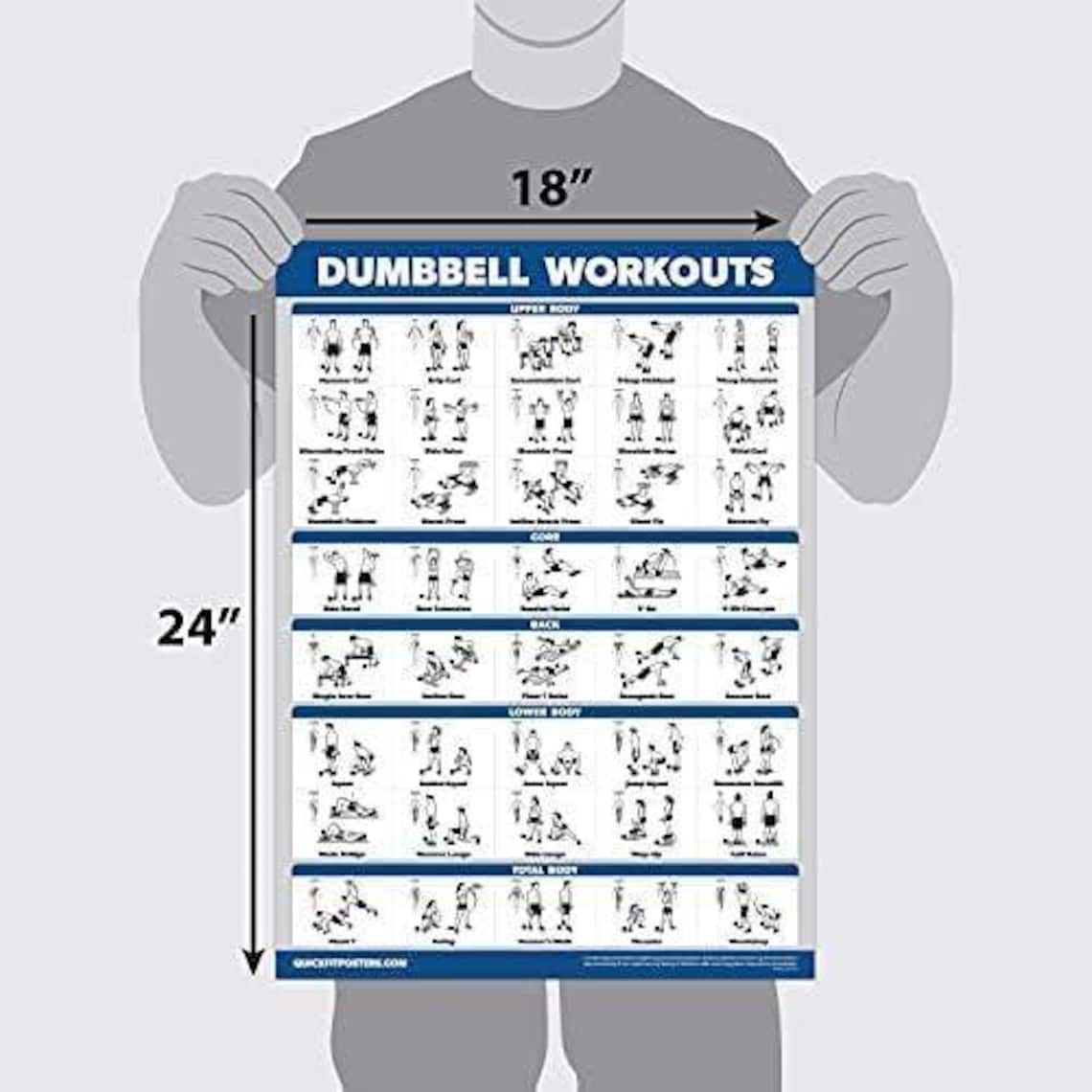 Palace Learning Dumbbell Workout Poster - Free Weight Body Building ...