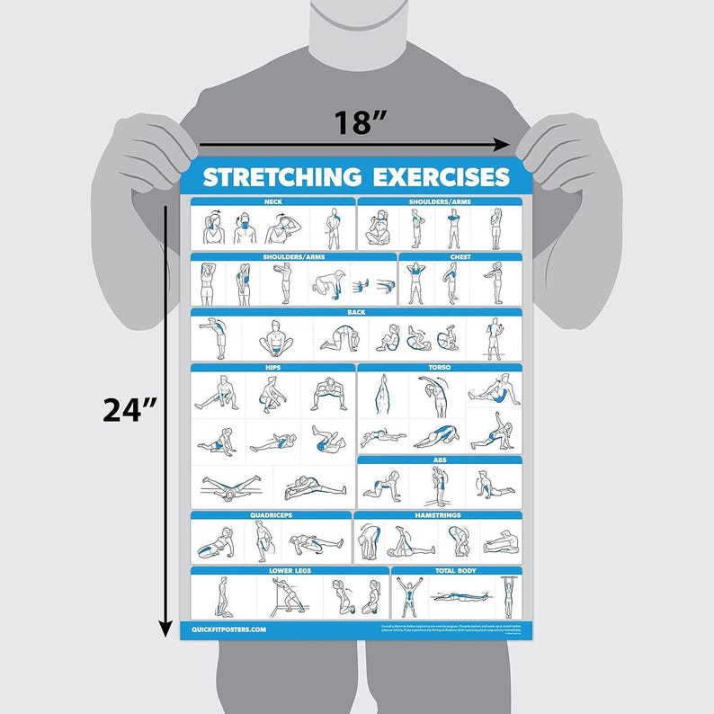 2 Pack - Stretching Exercise Poster - Laminated 18" X 24" & Bodyweight ...