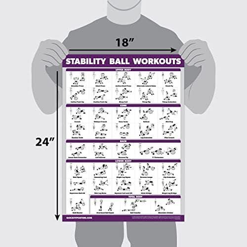 Laminated Dumbbell Workouts & Exercise Ball Poster Set—2 Charts (18" X ...