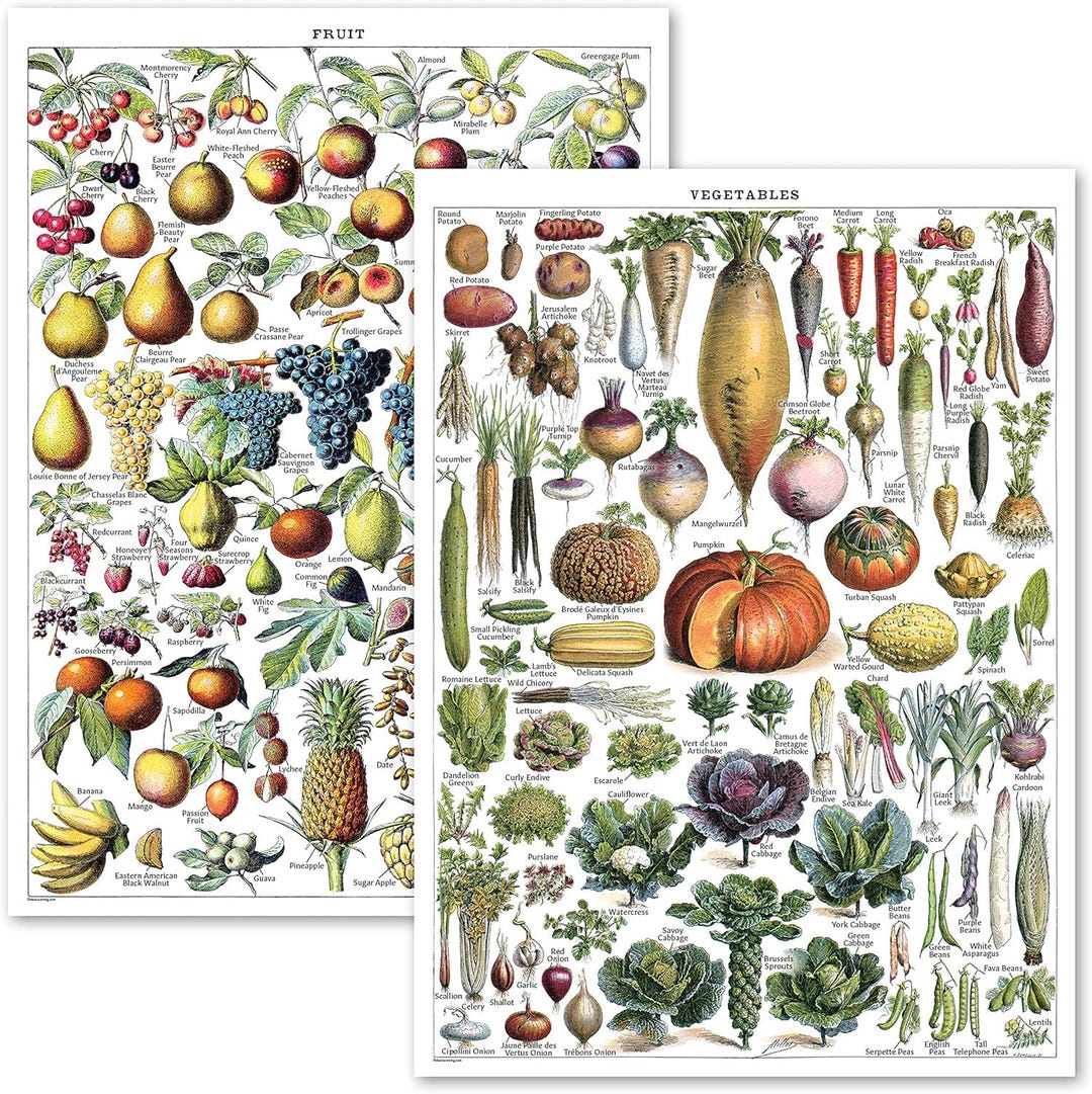 Vintage Fruits & Vegetables Poster Set - Botanical ID Chart for Kitchen ...