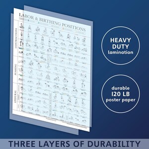 Labor Positions Poster - Birthing Positions Chart - Childbirth ...