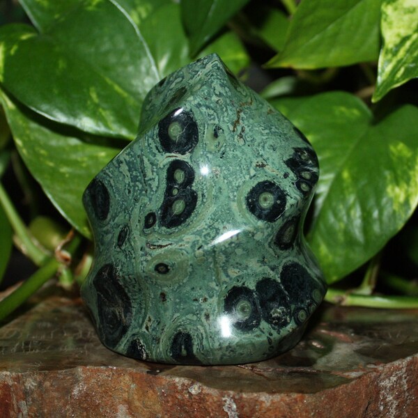 Kambaba Jasper - Etsy