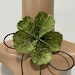 Large Green Velvet Flower Choker, Women's Floral Necklace - Etsy