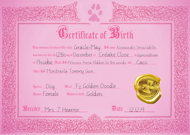 Puppy Birth Certificate (pink) - Etsy Norway