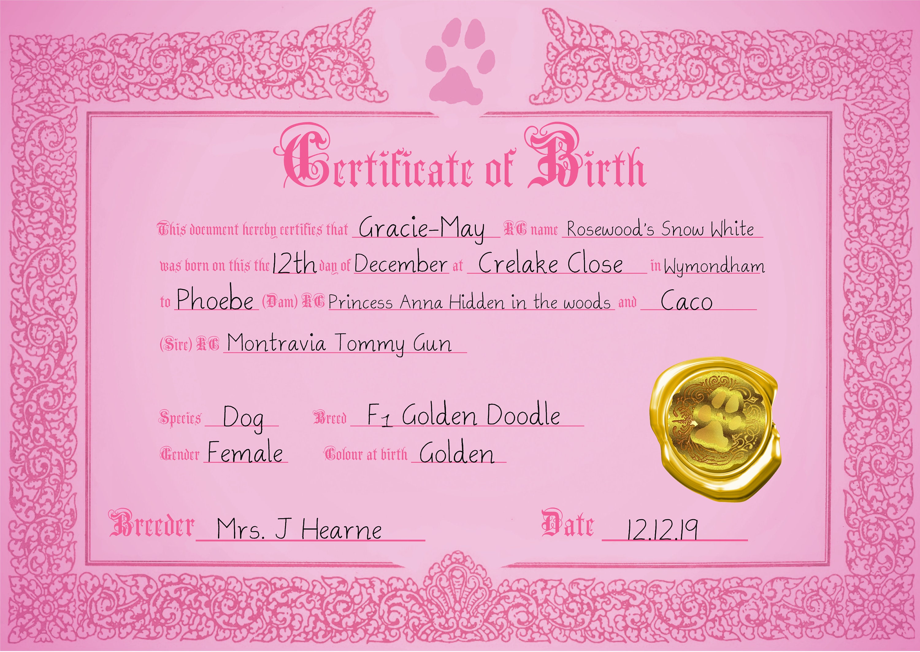 Puppy Birth Certificate (pink) - Etsy