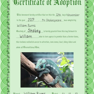 Reptile Family Adoption Certificate (green) - Etsy