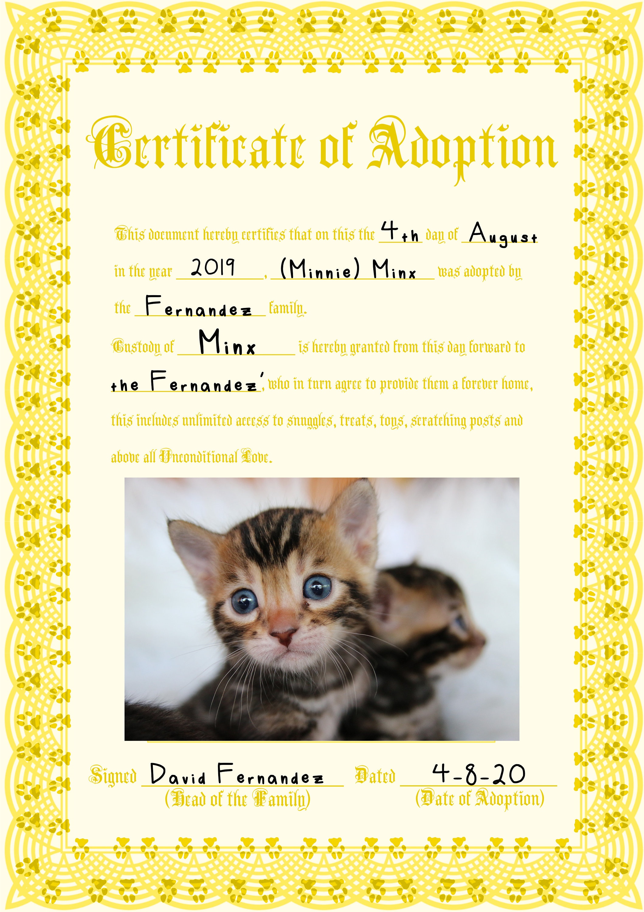 Cat & Kitten Couple's Adoption Certificate (yellow) - Etsy New Zealand