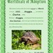 Reptile One Person Adoption Certificate (green) - Etsy