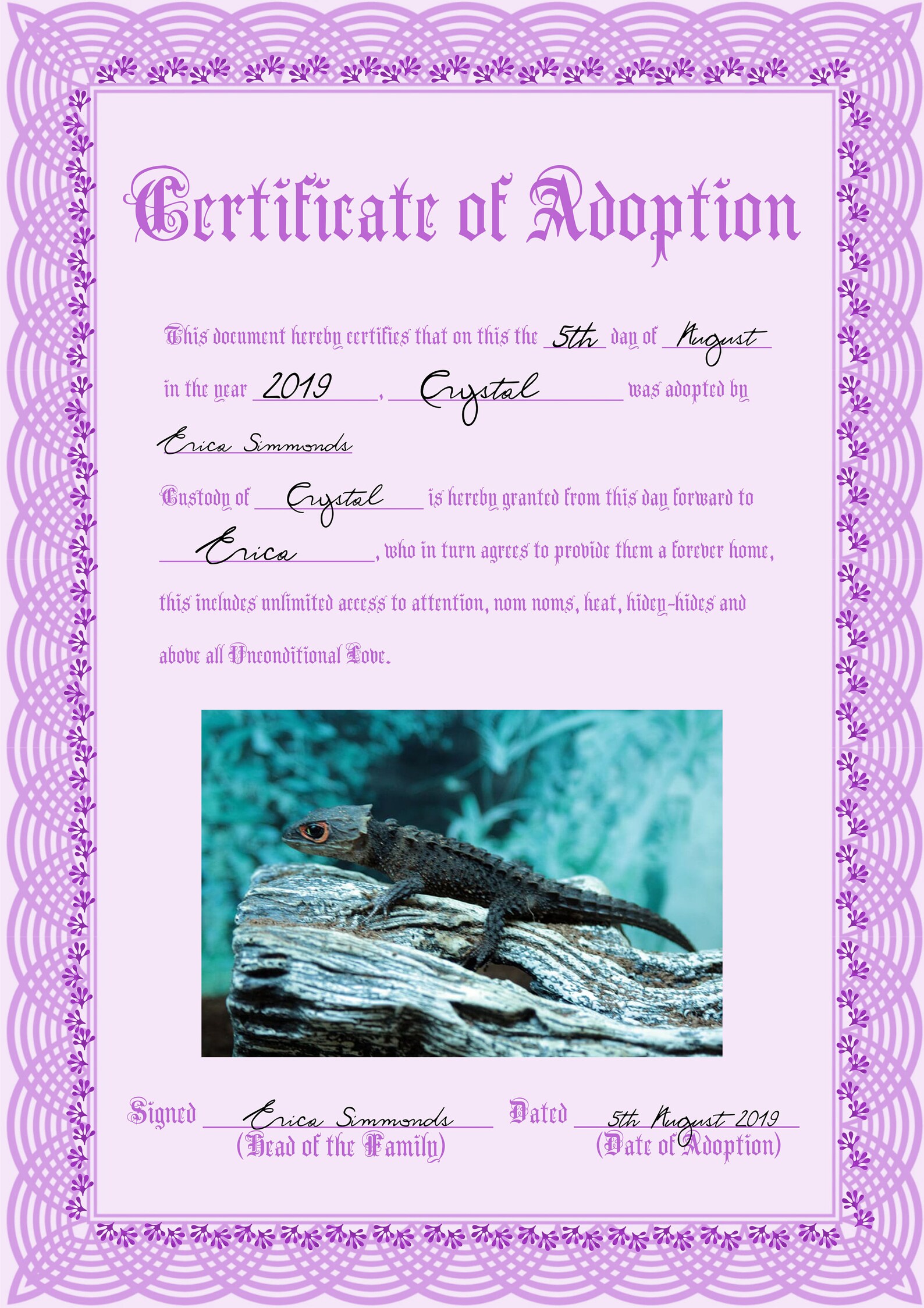 Reptile One Person Adoption Certificate (purple) - Etsy