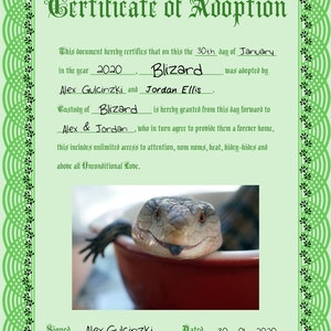 Reptile Family Adoption Certificate (green) - Etsy
